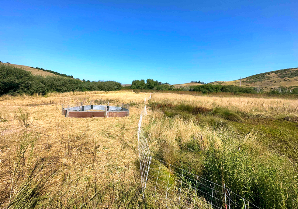 Grazing for Fire Mitigation at Fifth Crow Farm - TomKat Ranch ...