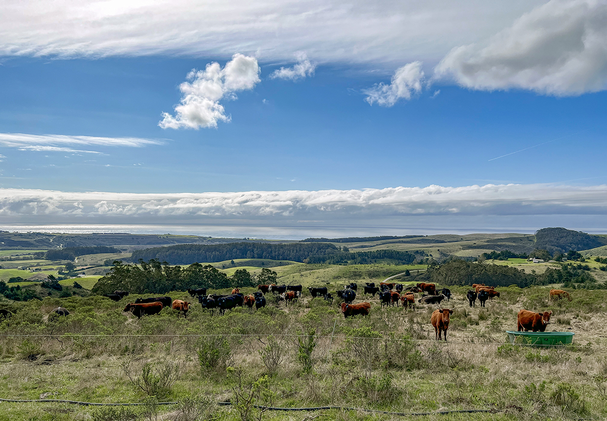 Where Restoration Meets Management - What Conservation Landscapes Can ...