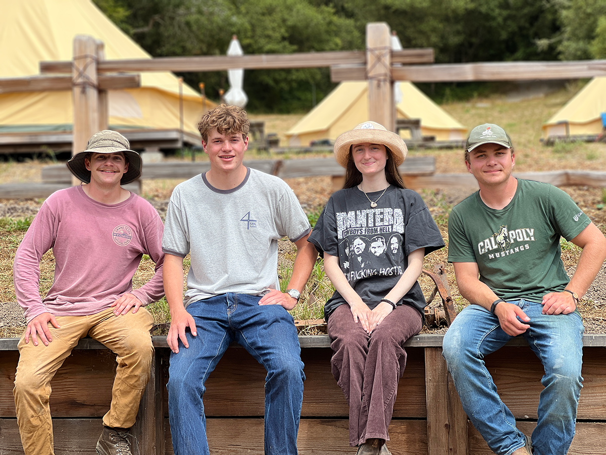 Meet our 2025 Intern Cohort! - TomKat Ranch Educational Foundation