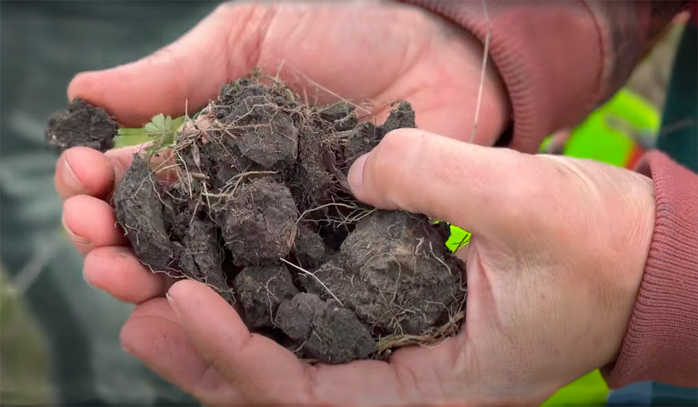 Creating a soil carbon primer - TomKat Ranch Educational Foundation