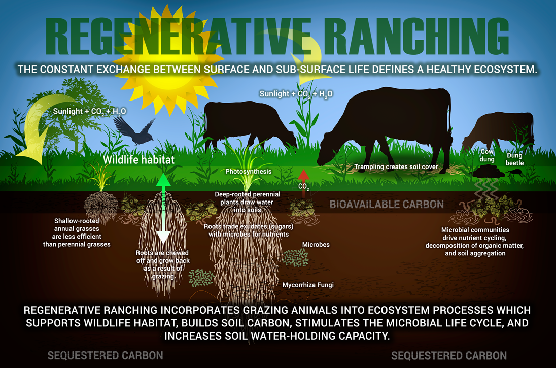 Nutrient-Dense Food: The Soil Connection - TomKat Ranch Educational Foundation