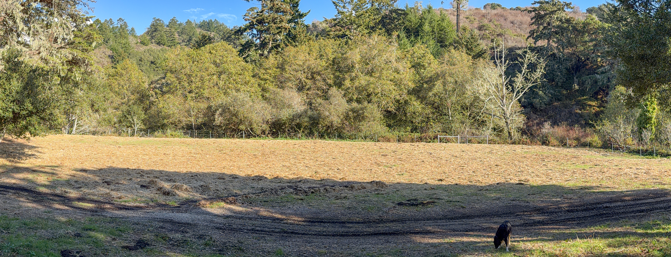 Bale Grazing Trial: Results from Spring 2026 - TomKat Ranch Educational ...