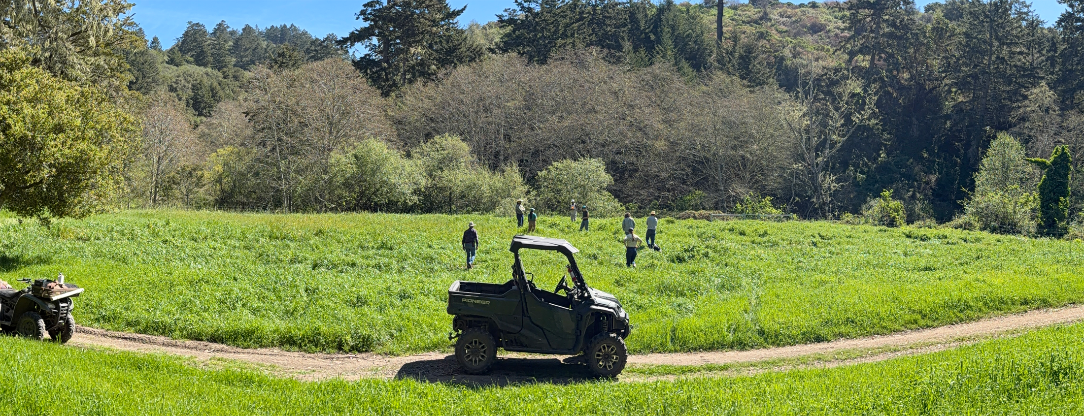 Bale Grazing Trial: Results from Spring 2026 - TomKat Ranch Educational ...